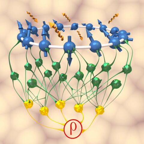 Neural networks for the simulation of quantum systems | Laboratoire MPQ ...